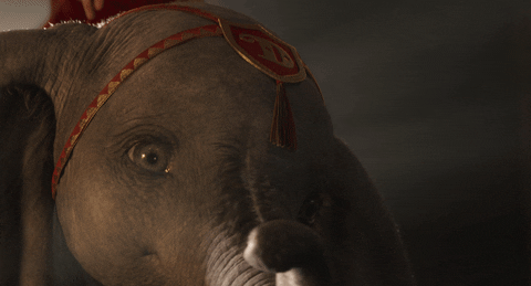 DUMBO (Critique)